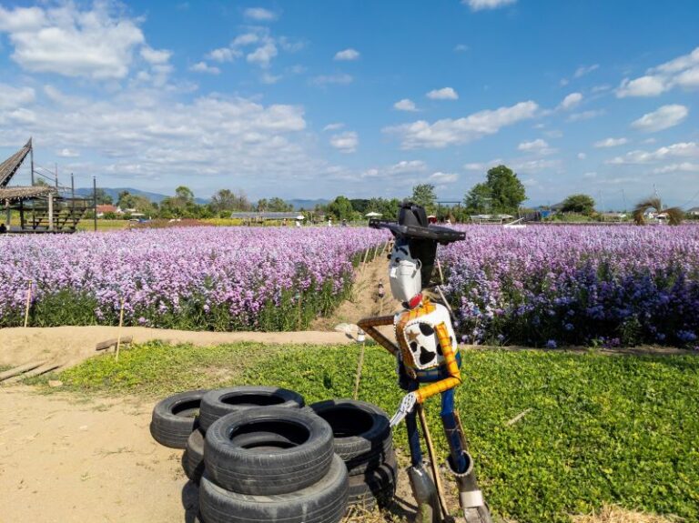 The Mae Rim Valley Is One Of The Best Areas near Chiang Mai.