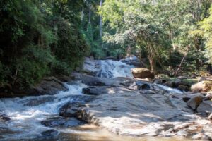 The Mae Rim Valley Is One Of The Best Areas near Chiang Mai.