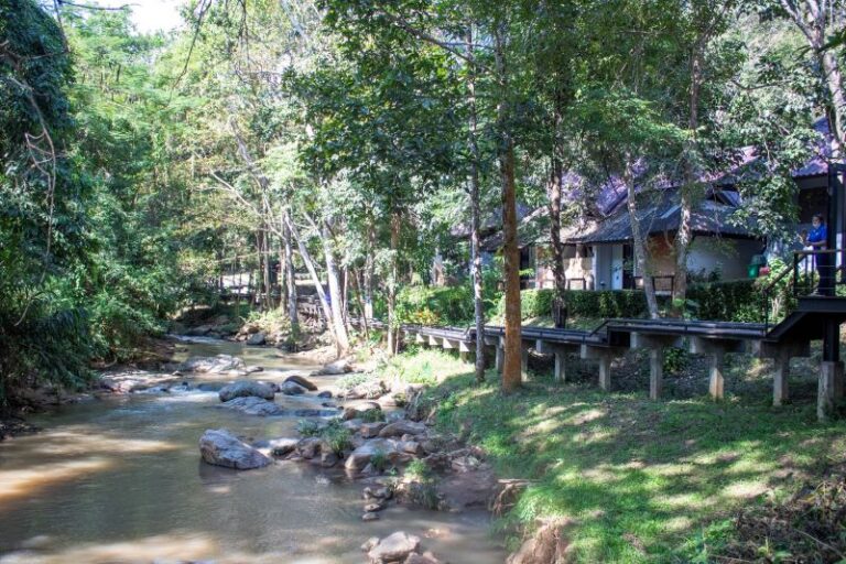 The Best Spots For A Picnic Around Chiang Mai