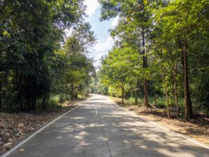 Mae Wang Amazing National Park, A Chiang Mai Thailand Treasure