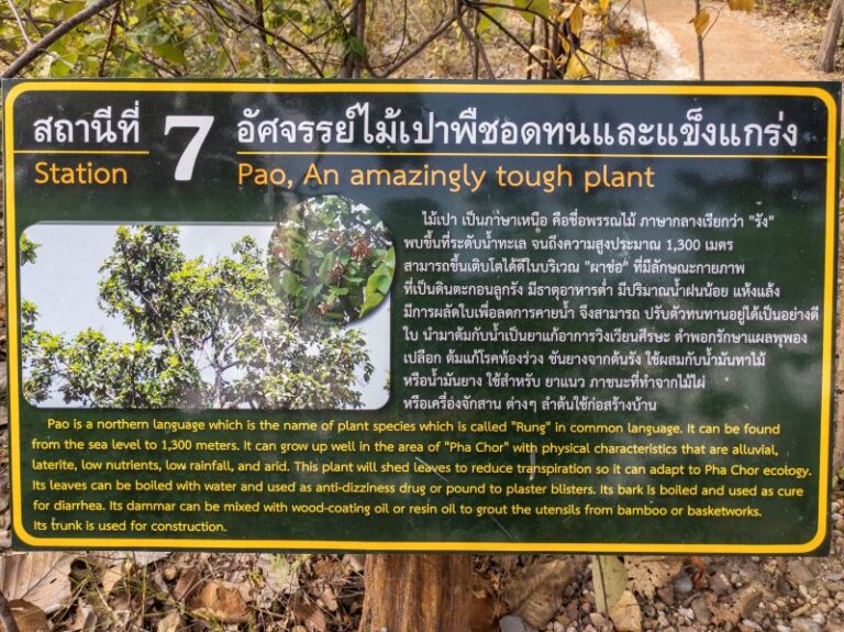Mae Wang Amazing National Park, A Chiang Mai Thailand Treasure