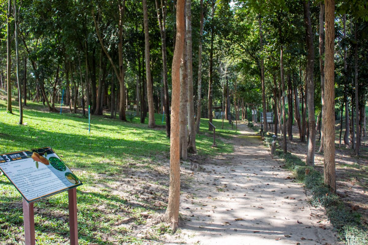 Mae Wang Amazing National Park, A Chiang Mai Thailand Treasure