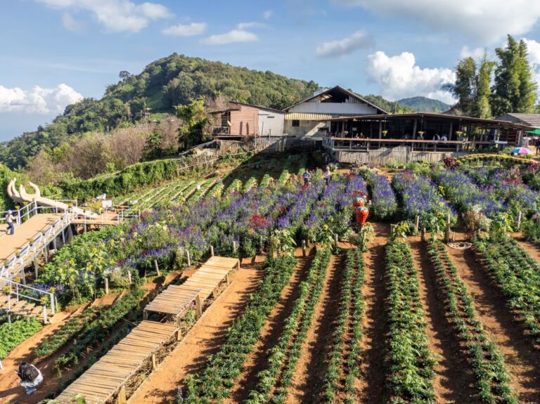 Mon Jam Is One Of The Best Day Or Overnight Trips From Chiang Mai