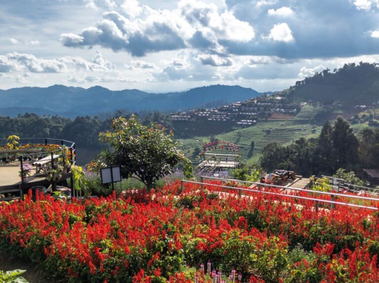 The Mae Rim Valley Is One Of The Best Areas near Chiang Mai.